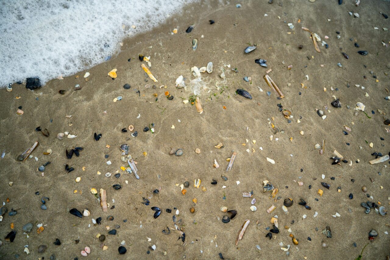 Plastic Overshoot Day: One-third of waste unmanaged in 2025